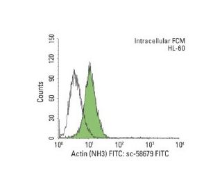 normal mouse IgM-FITC | SCBT - Santa Cruz Biotechnology