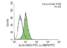 normal mouse IgM-FITC | SCBT - Santa Cruz Biotechnology