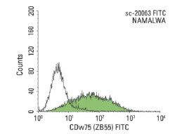 normal mouse IgM-FITC | SCBT - Santa Cruz Biotechnology