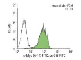 SCBT - Santa Cruz Biotechnology
