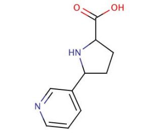 Nornicotine-2-carboxylic Acid | CAS 3562-11-6 | SCBT - Santa Cruz ...