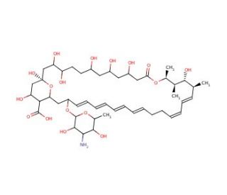 Nystatin | CAS 1400-61-9 | SCBT - Santa Cruz Biotechnology