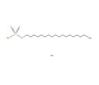 Octadecyl sulfate sodium salt | CAS 1120-04-3 | SCBT - Santa Cruz ...
