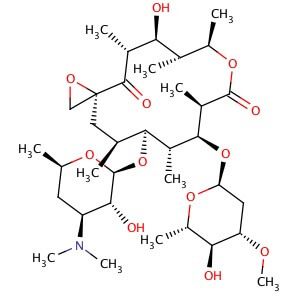 Oleandomycin | CAS 3922-90-5 | SCBT - Santa Cruz Biotechnology