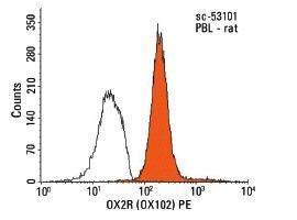 OX2R Antibody (OX102) | SCBT - Santa Cruz Biotechnology