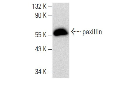 关闭