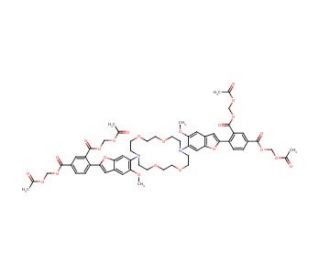 PBFI-AM | CAS 124549-23-1 | SCBT - Santa Cruz Biotechnology