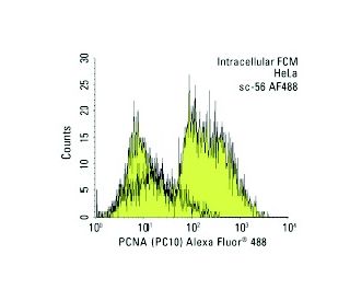 PCNA Antibody (PC10) - Flow Cytometry - Image 13070
