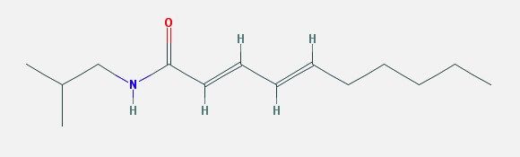 Pellitorine | CAS 18836-52-7 | SCBT - Santa Cruz Biotechnology