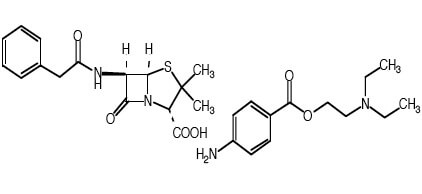 Penicillin G procaine | CAS 6130-64-9 | SCBT - Santa Cruz Biotechnology