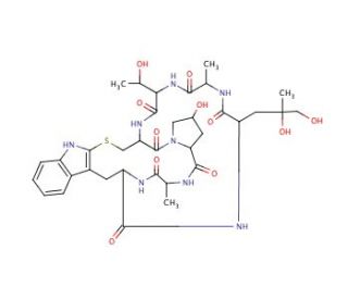 Phalloidin | CAS 17466-45-4 | SCBT - Santa Cruz Biotechnology