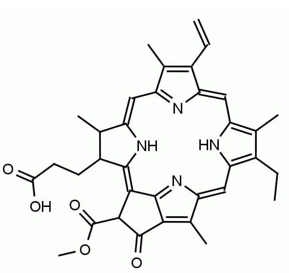 Pheophorbide a | CAS 15664-29-6 | SCBT - Santa Cruz Biotechnology