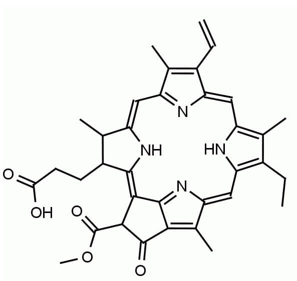 Pheophorbide a | CAS 15664-29-6 | SCBT - Santa Cruz Biotechnology