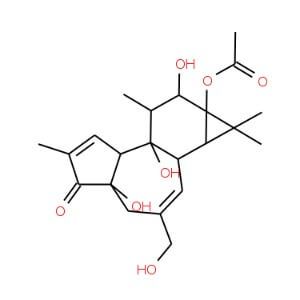 Phorbol 12-Monoacetate | CAS 70470-59-6 | SCBT - Santa Cruz Biotechnology