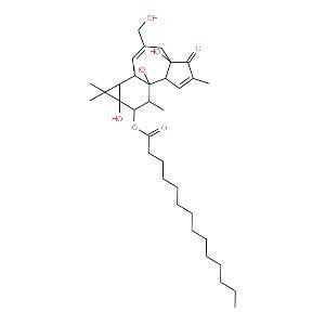 Phorbol-12-monomyristate | CAS 20839-06-9 | SCBT - Santa Cruz Biotechnology