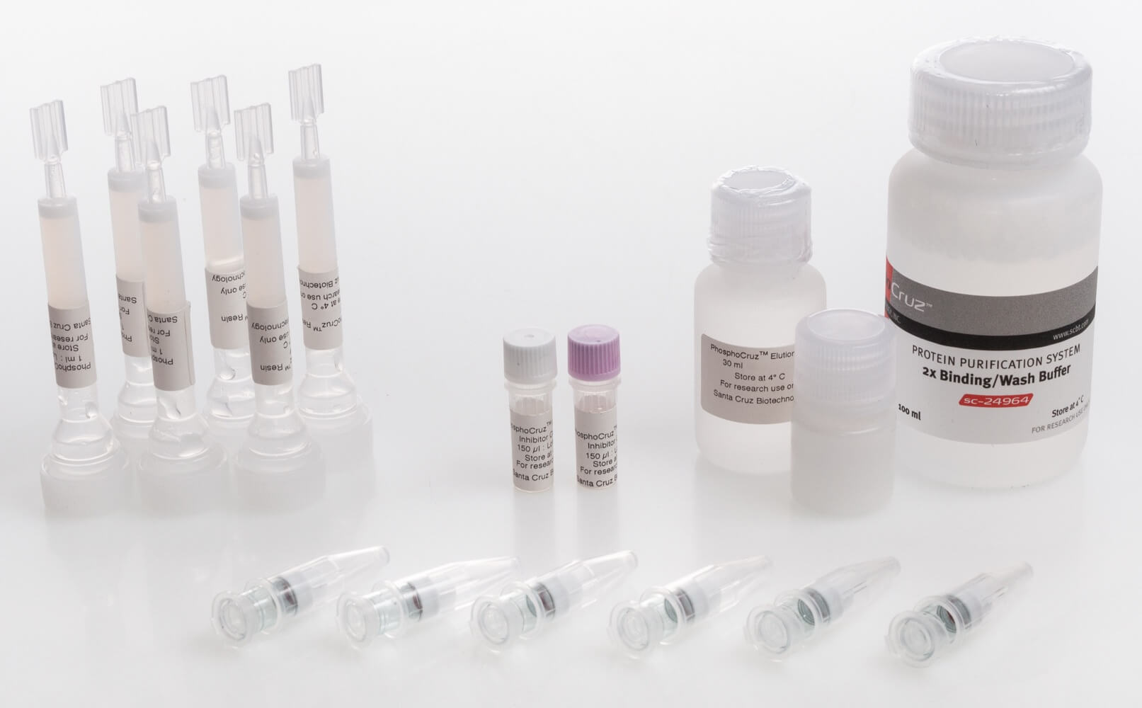 PhosphoCruz™ Protein Purification System | SCBT - Santa Cruz Biotechnology