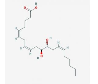 (±)11,12-DHET | SCBT - Santa Cruz Biotechnology