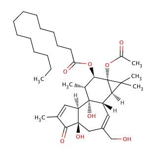 PMA | CAS 16561-29-8 | SCBT - Santa Cruz Biotechnology