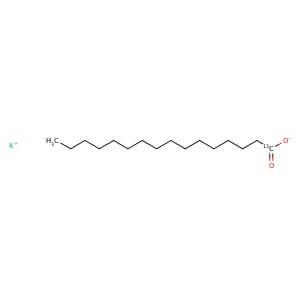 Potassium palmitate-1-13C | CAS 201612-58-0 | SCBT - Santa Cruz ...