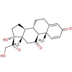 Prednisone | CAS 53-03-2 | SCBT - Santa Cruz Biotechnology