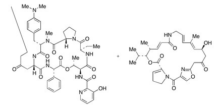 Pristinamycin | CAS 270076-60-3 | SCBT - Santa Cruz Biotechnology