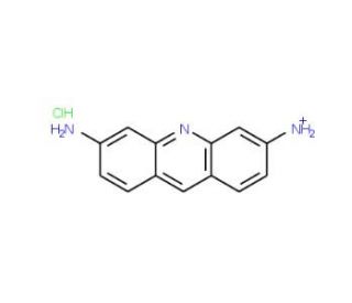 Proflavine Hydrochloride | CAS 952-23-8 | SCBT - Santa Cruz Biotechnology