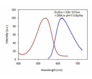 Propidium iodide solution | CAS 25535-16-4 | SCBT - Santa Cruz ...