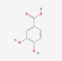 Protocatechuic acid | CAS 99-50-3 | SCBT - Santa Cruz Biotechnology