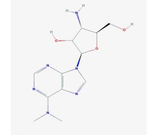 Puromycin Aminonucleoside | CAS 58-60-6 | SCBT - Santa Cruz Biotechnology