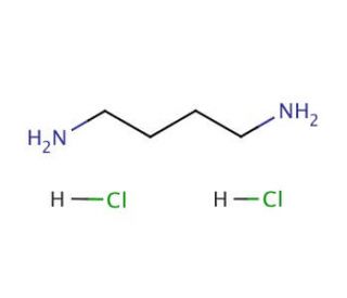 Putrescine dihydrochloride | CAS 333-93-7 | SCBT - Santa Cruz Biotechnology