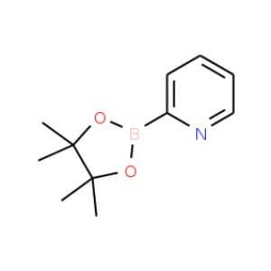 Pyridine-2-boronic acid pinacol ester | CAS 874186-98-8 | SCBT - Santa ...