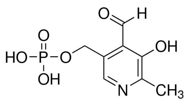 Pyridoxal 5′-phosphate | CAS 41468-25-1 | SCBT - Santa Cruz Biotechnology