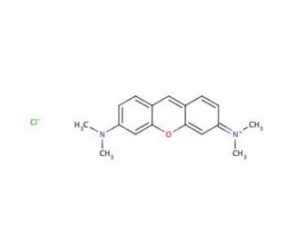 Pyronin Y | CAS 92-32-0 | SCBT - Santa Cruz Biotechnology