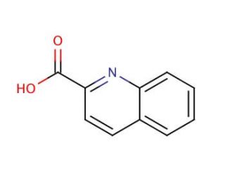 Quinaldic acid: sc-250824...