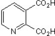 Quinolinic acid | CAS 89-00-9 | SCBT - Santa Cruz Biotechnology