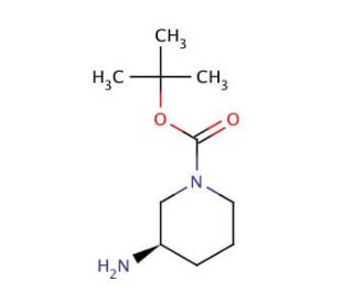 (R)-(-)-3-Amino-1-Boc-piperidine | CAS 188111-79-7 | SCBT - Santa Cruz ...