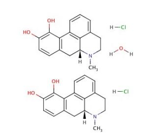 R-(−)-Apomorphine hydrochloride hemihydrate | CAS 41372-20-7 | SCBT ...