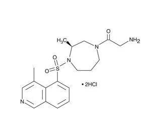 Rho Kinase Inhibitor IV | CAS 913844-45-8 | SCBT - Santa Cruz Biotechnology