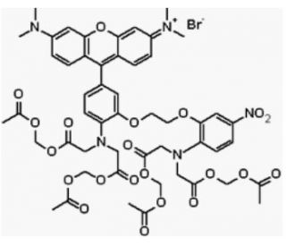 Rhod-5N, AM | SCBT - Santa Cruz Biotechnology