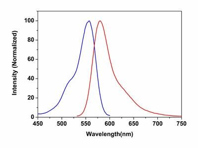 Rhod-5N, AM | SCBT - Santa Cruz Biotechnology