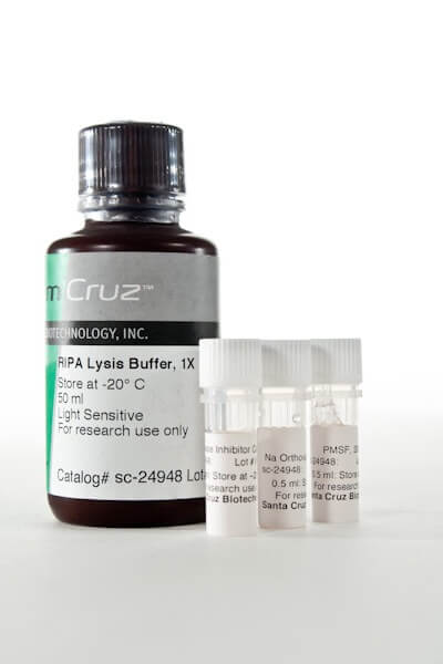 RIPA Lysis Buffer System | SCBT - Santa Cruz Biotechnology