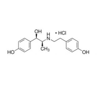 Ritodrine | CAS 23239-51-2 | SCBT - Santa Cruz Biotechnology