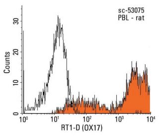 RT1-D Antibody (OX17) | SCBT - Santa Cruz Biotechnology