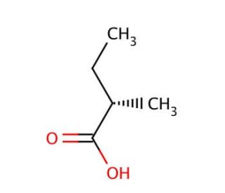(S)-(+)-2-Methylbutyric acid | CAS 1730-91-2 | SCBT - Santa Cruz ...