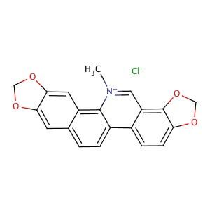 Sanguinarine chloride | CAS 5578-73-4 | SCBT - Santa Cruz Biotechnology