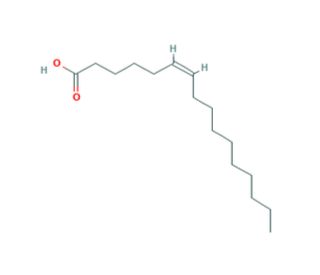 Sapienic acid | CAS 17004-51-2 | SCBT - Santa Cruz Biotechnology