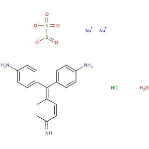 Schiff′s reagent | SCBT - Santa Cruz Biotechnology