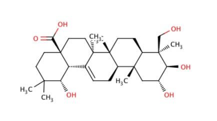 Sericic acid | CAS 55306-03-1 | SCBT - Santa Cruz Biotechnology