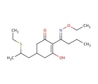 Sethoxydim CAS 74051 80 2 SCBT Santa Cruz Biotechnology