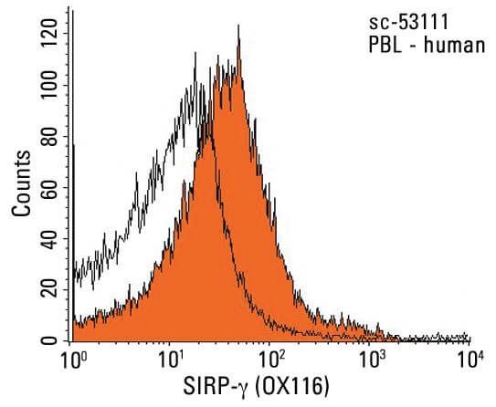 SIRP-γ Antibody (OX116) | SCBT - Santa Cruz Biotechnology